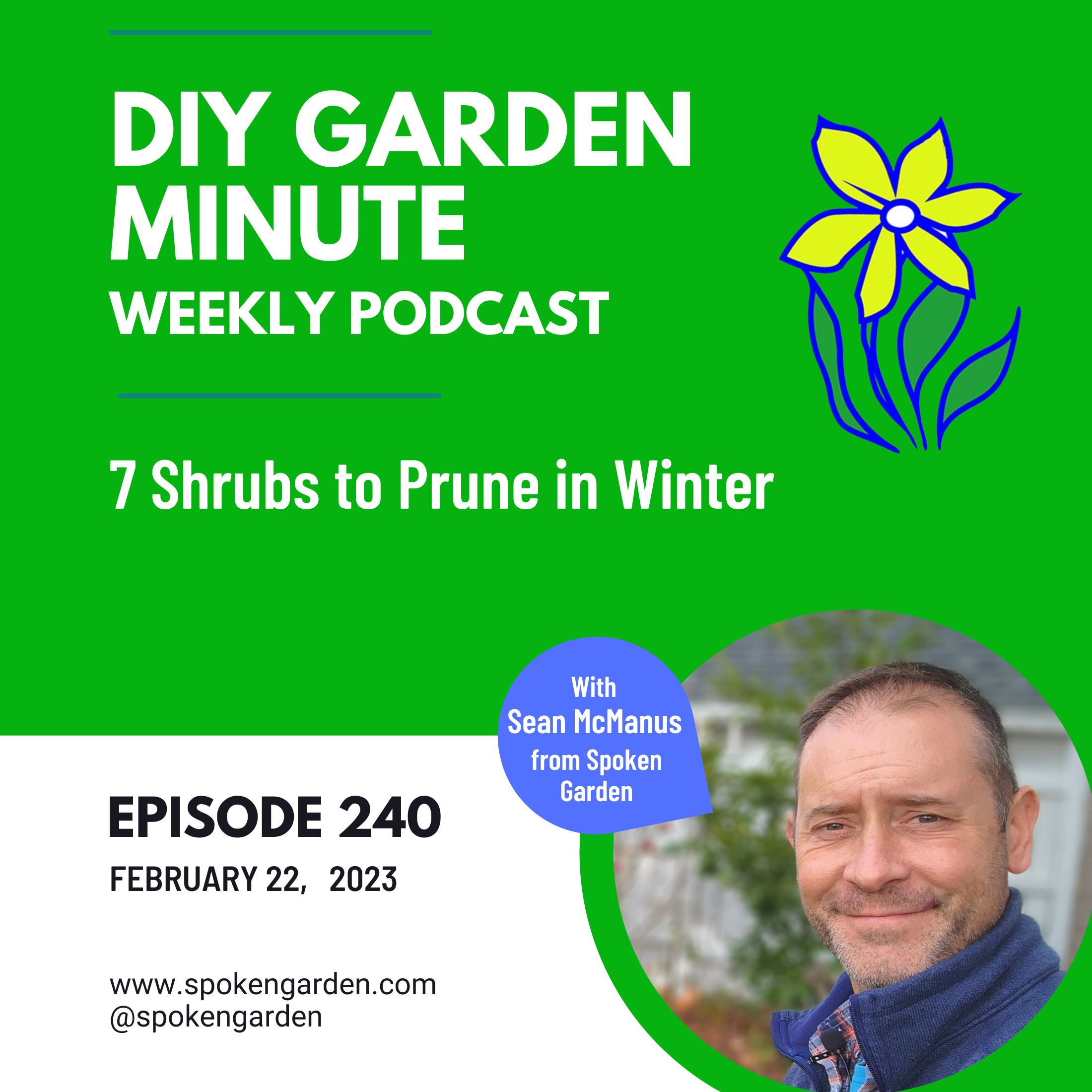 7 Shrubs You Can Prune This Winter - DIY Garden Minute Ep.240