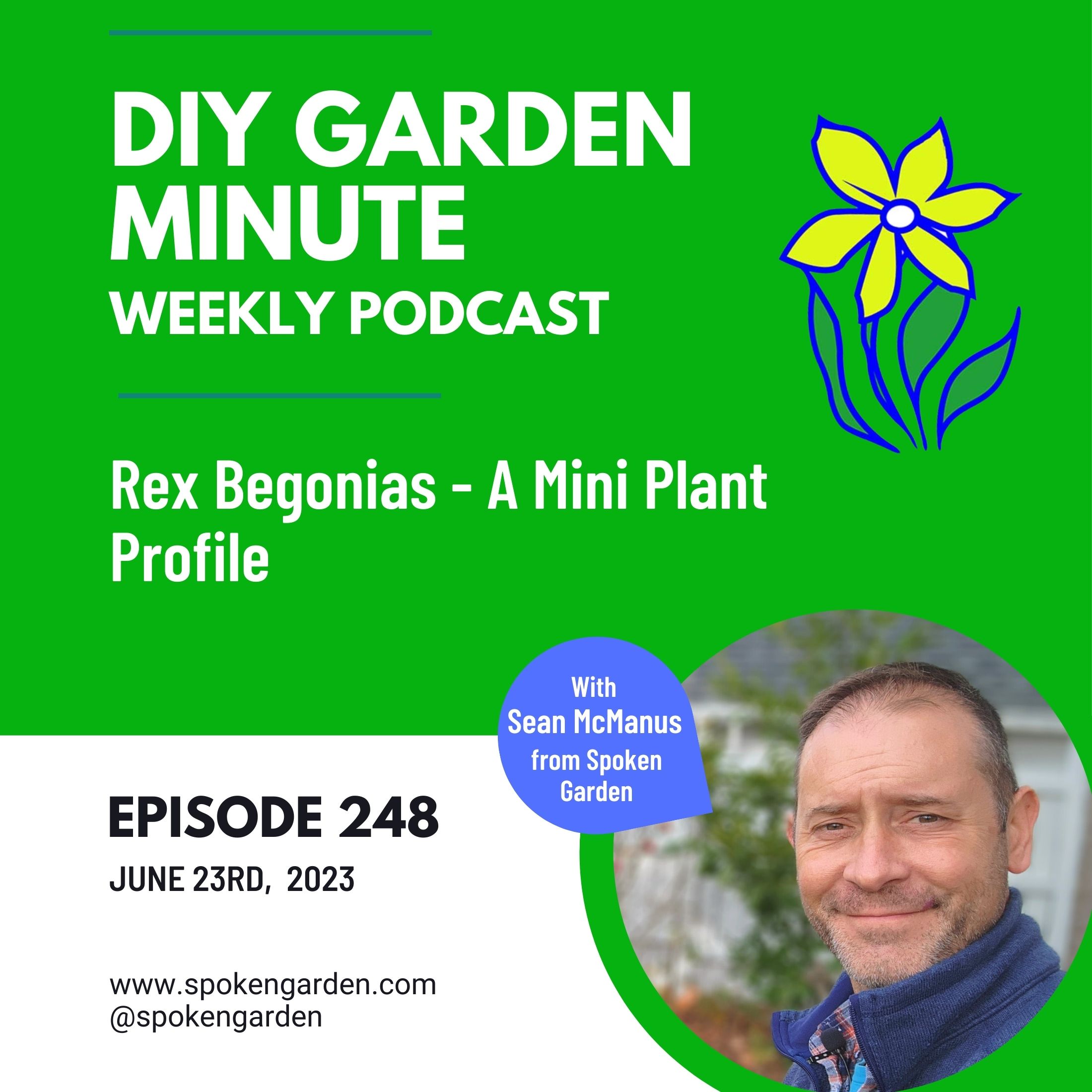 Rex Begonias - A Mini Plant Profile - DIY Garden Minute | Spoken Garden
